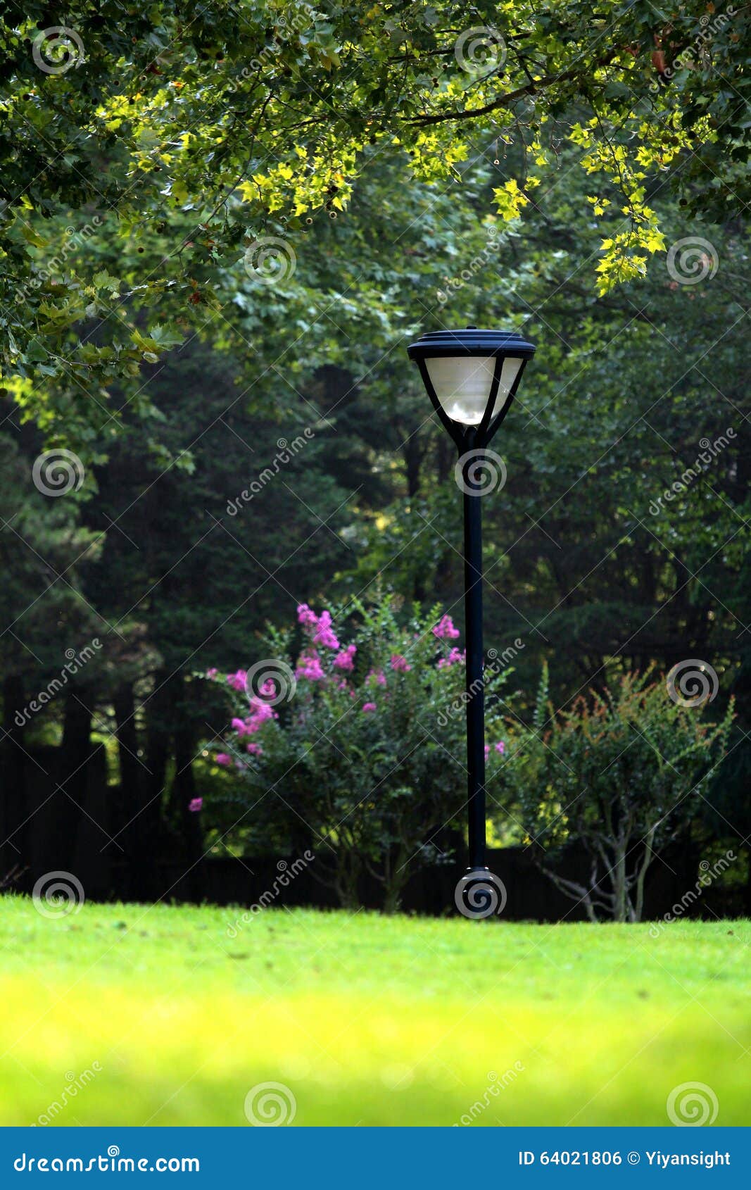 The Street Lights and Trees in the Park Stock Photo - Image of ...