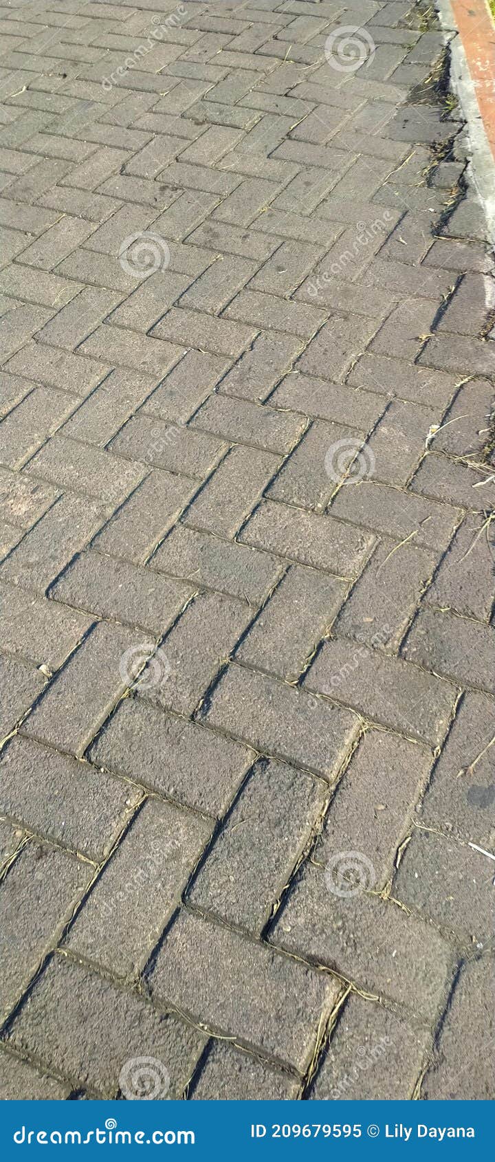 Street line brick stock image. Image of soil, street - 209679595