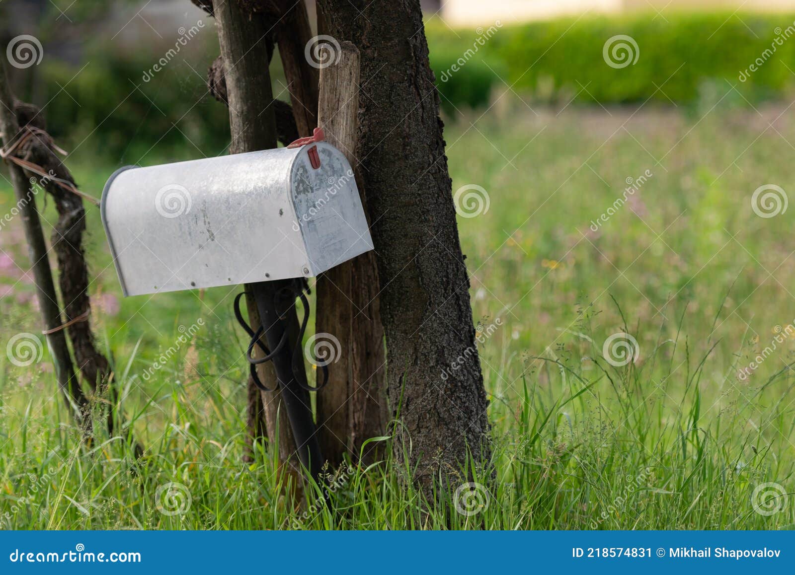 Street mailbox on a tree stock image. Image of nature - 218574831