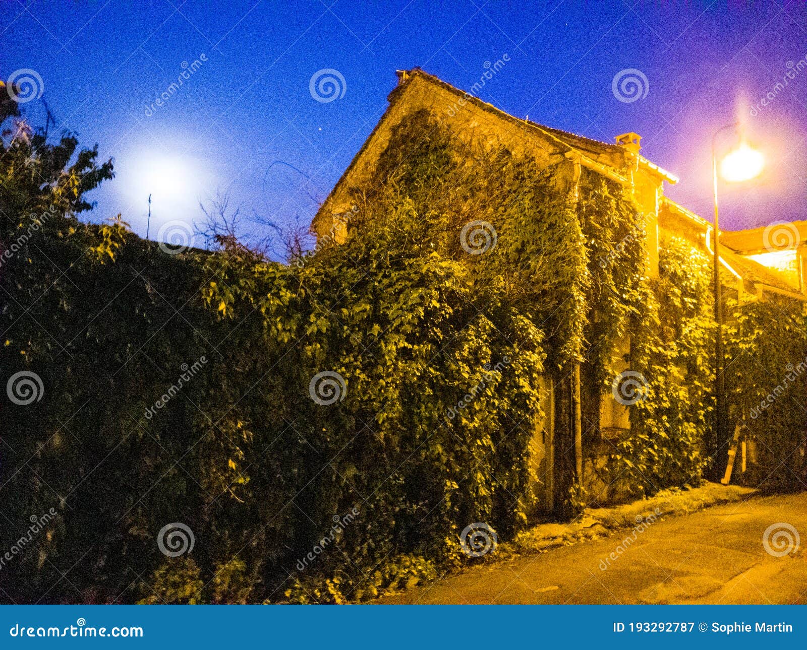 Street in moonlight stock image. Image of sunset, evening - 193292787