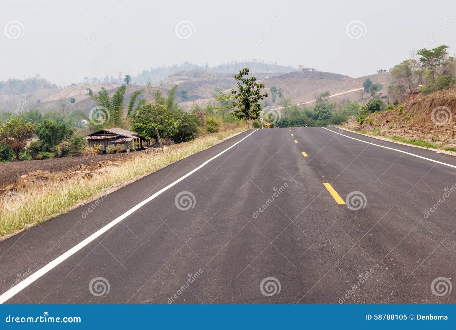 Street in nature stock image. Image of side, trees, grass - 58788105