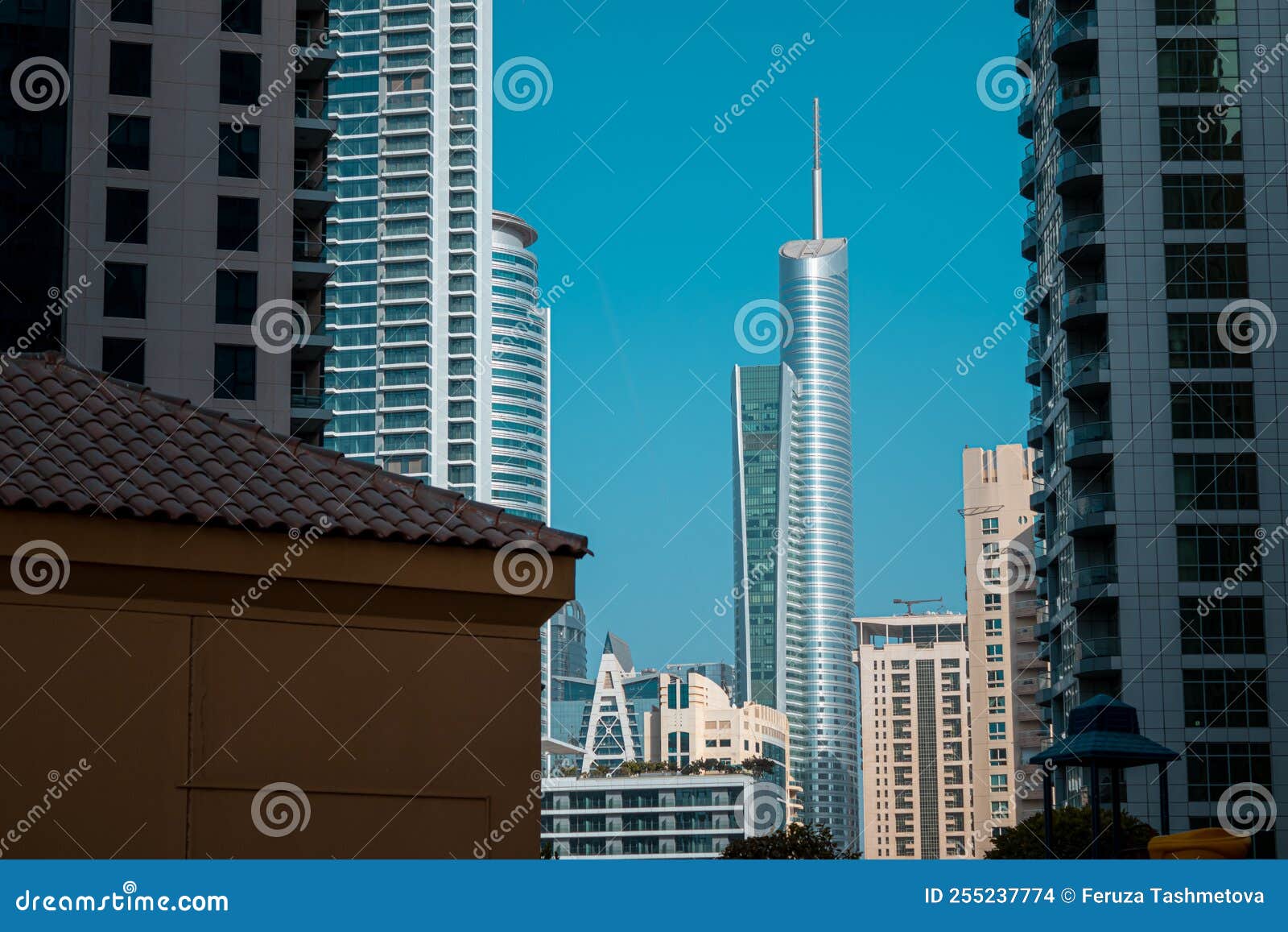 Street with Palms and Buildings Editorial Stock Image - Image of palms ...