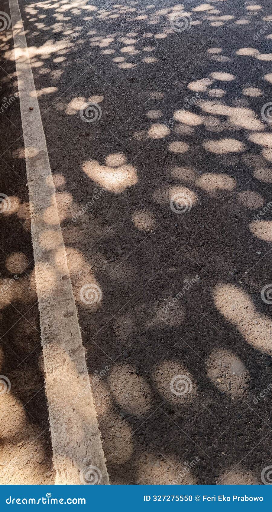 Street in the Park with Tree Shadows Stock Photo - Image of green ...