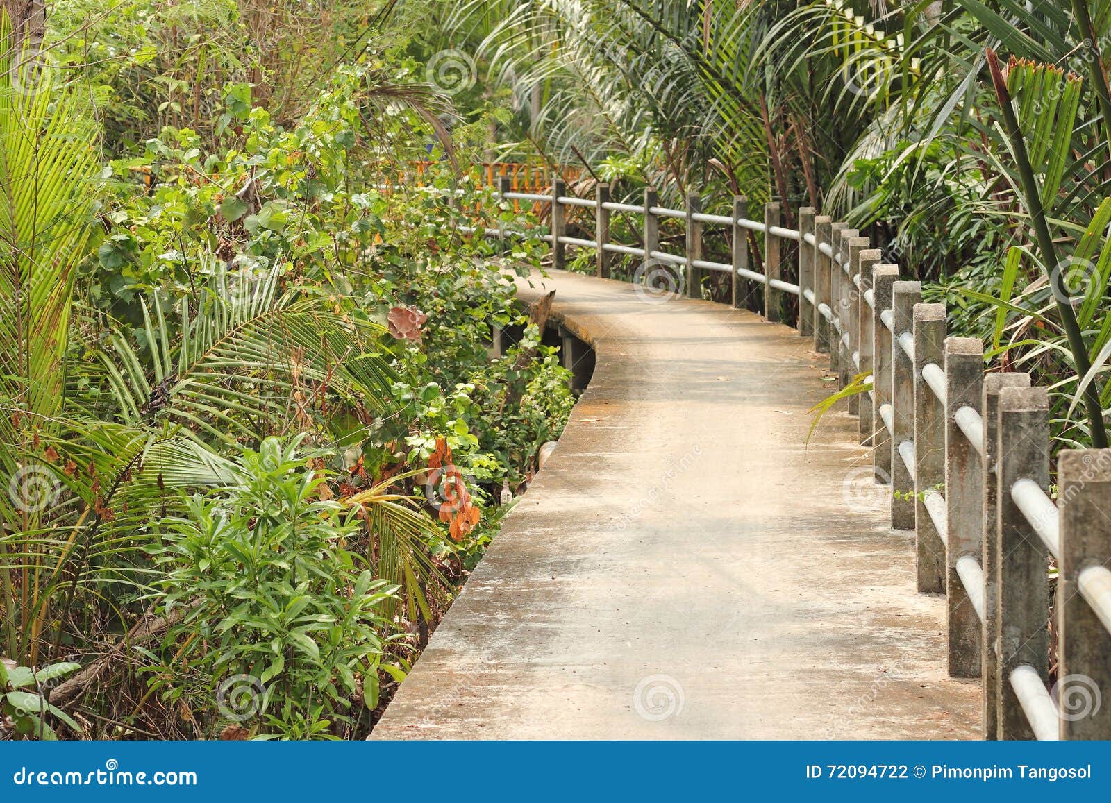 Street with Pathway in the Ancient District Stock Photo - Image of ...