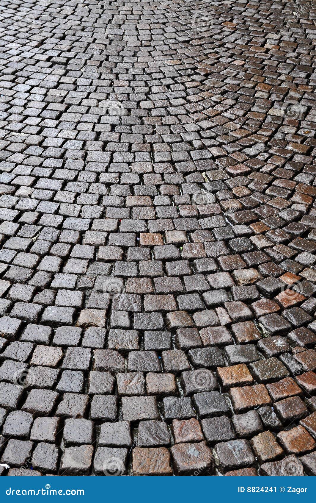 Street pavement stock image. Image of decorative, detail - 8824241