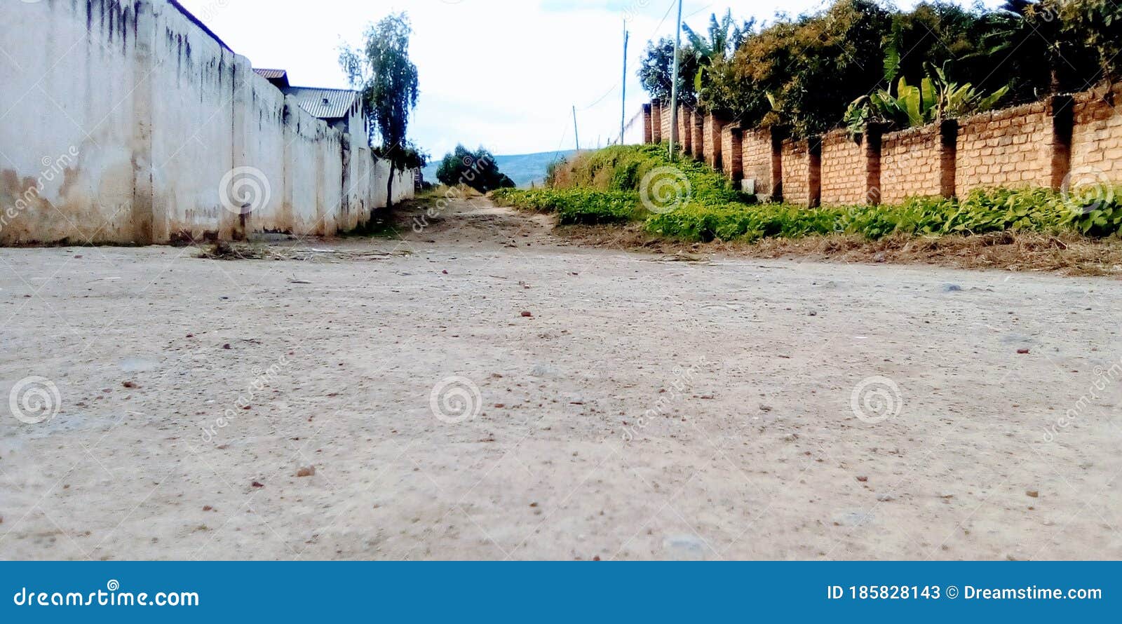 Street without people stock image. Image of tree, property - 185828143