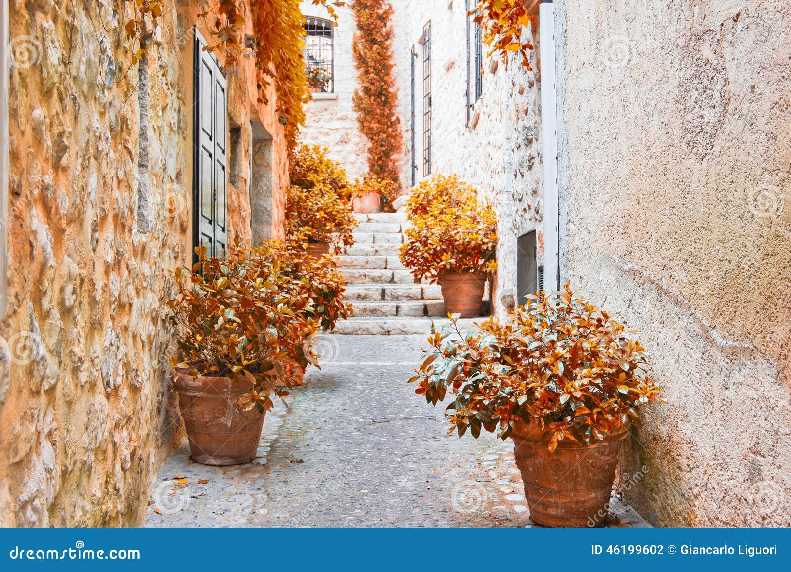 Street in Provence during the Fall Stock Photo - Image of flower, city ...