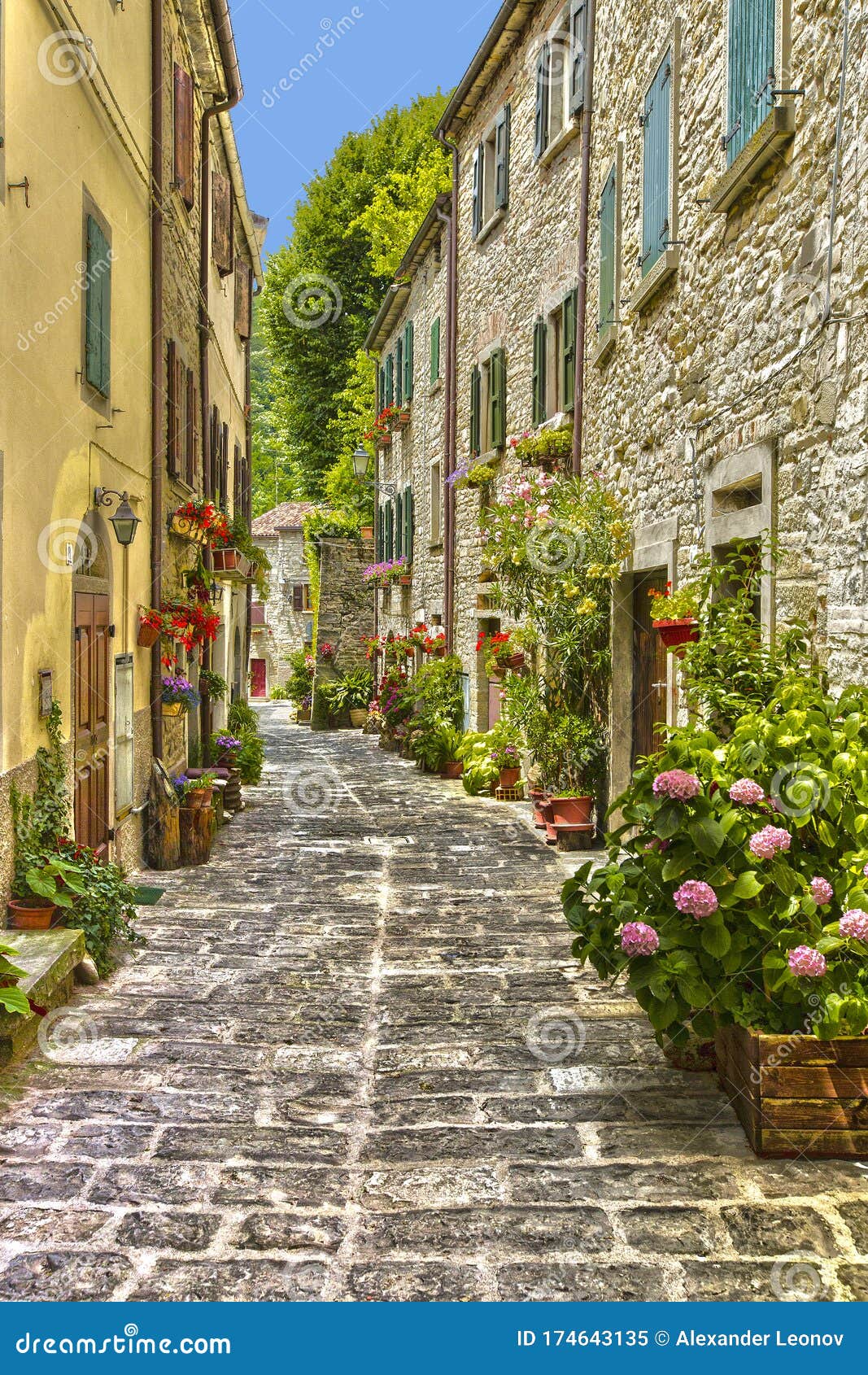 Street provincial Italy stock image. Image of narrow - 174643135