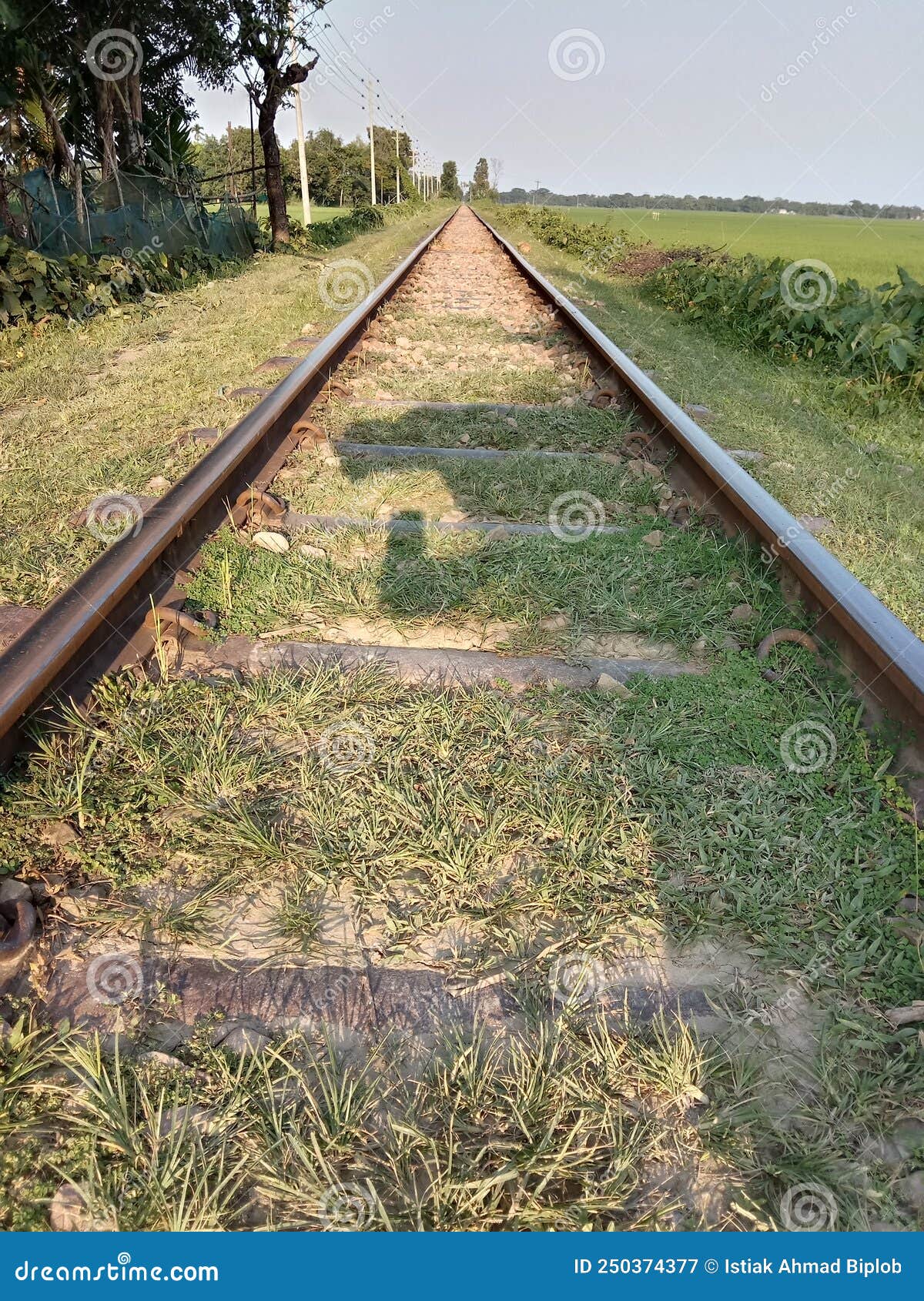 A Street Railway Middle Image Stock Image - Image of grass, locomotive ...