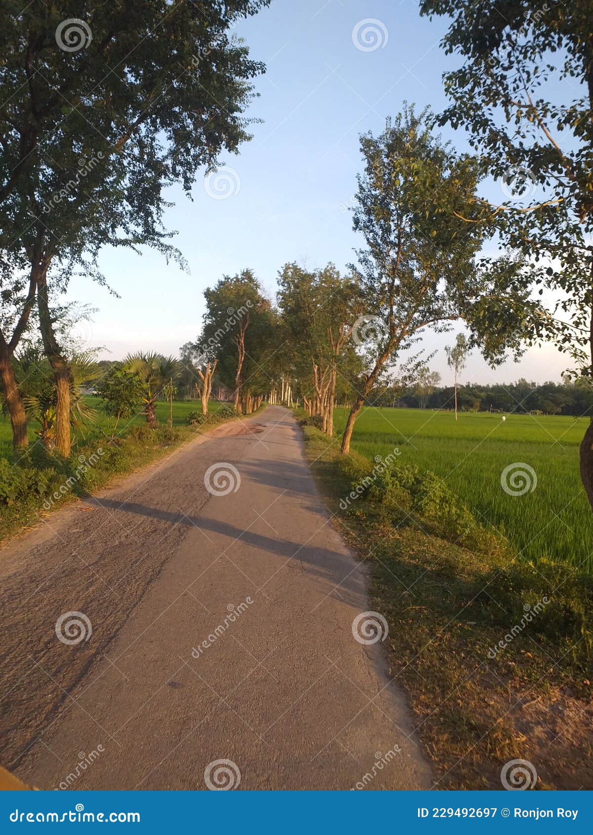 This is a Street Scene in the Afternoon. Stock Image - Image of scene ...