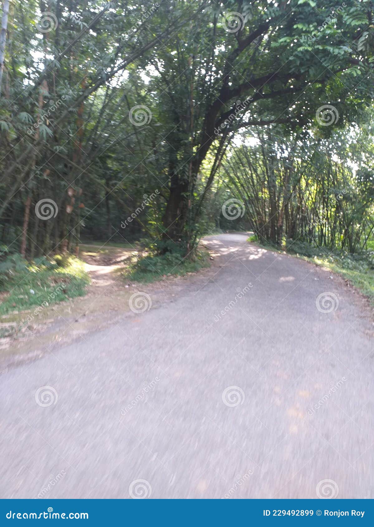 This is a Street Scene in the Afternoon. Stock Image - Image of street ...