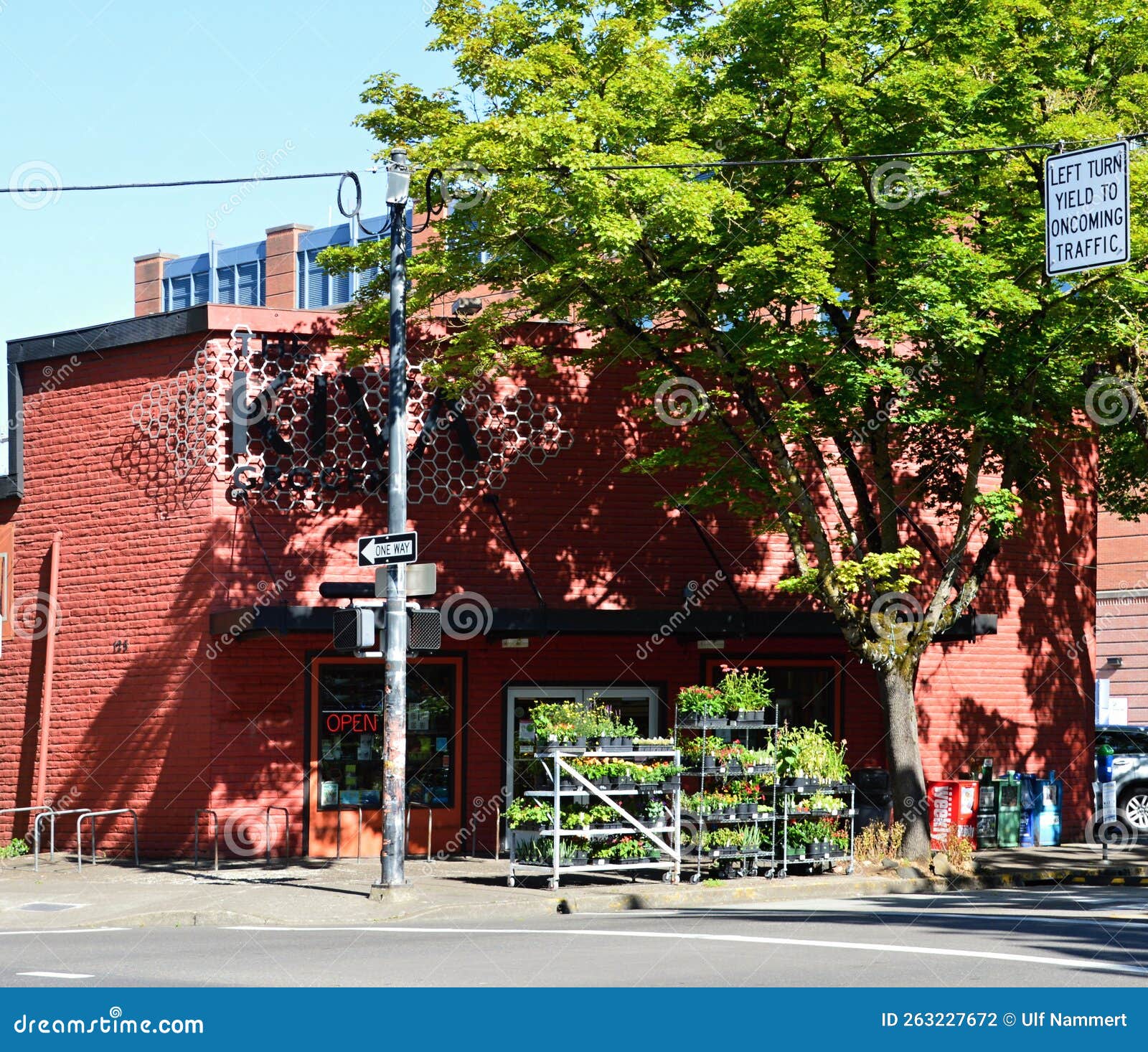 Street Scene in Downtown Eugene, Florida Stock Photo - Image of tree ...