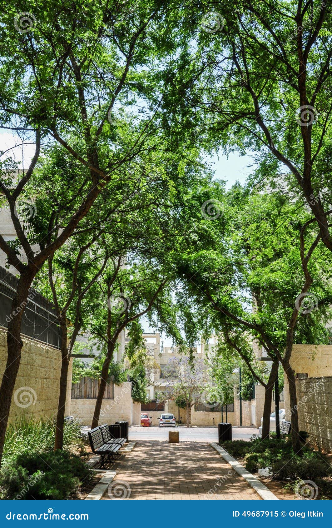 Street in the Shade of Trees Stock Image - Image of city, season: 49687915