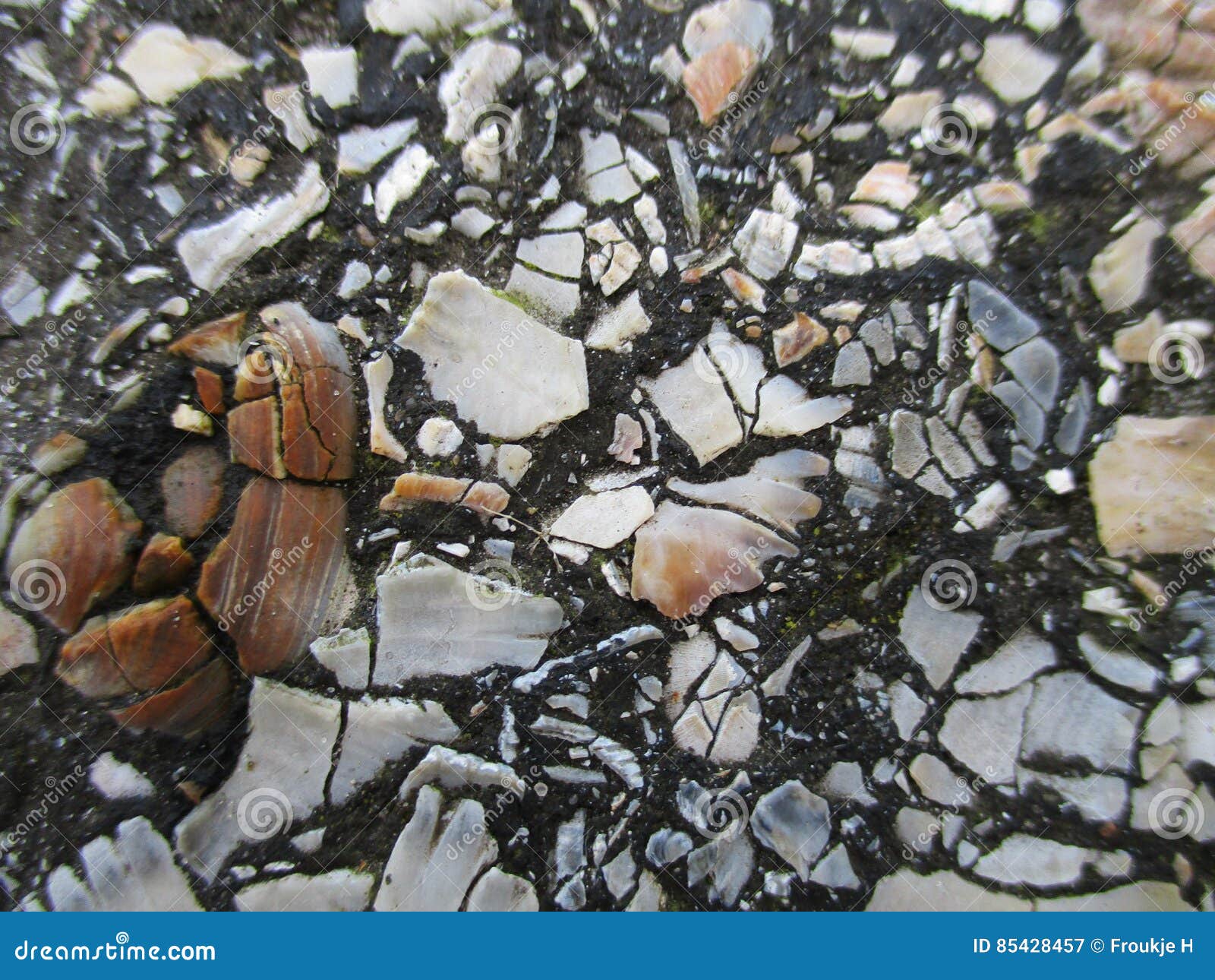 Street of shells stock image. Image of street, brown - 85428457