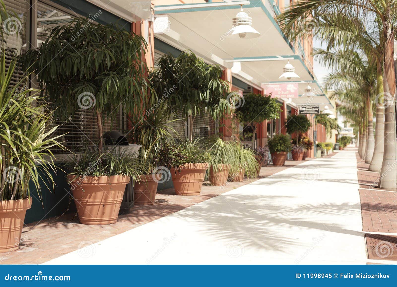 5,274 Shop Street Trees Photos - Free & Royalty-Free Stock Photos from ...