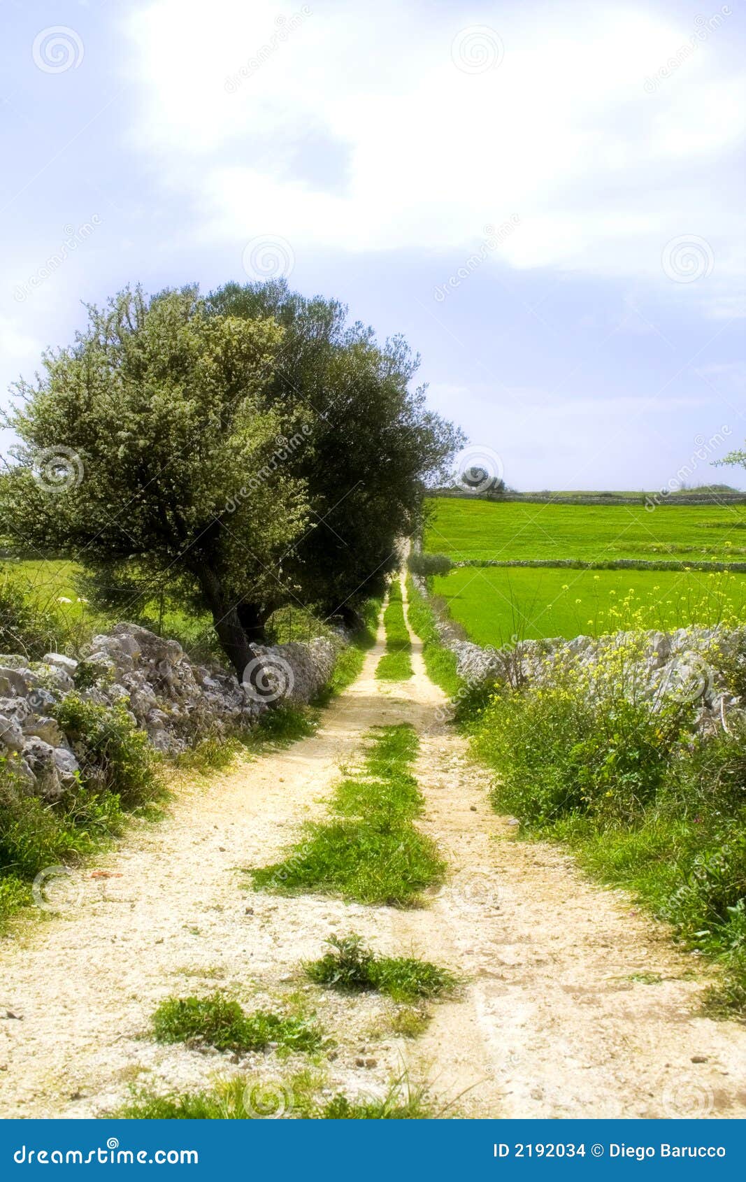 Street, in the Sicilian Landsc Stock Photo - Image of earth, fractal ...