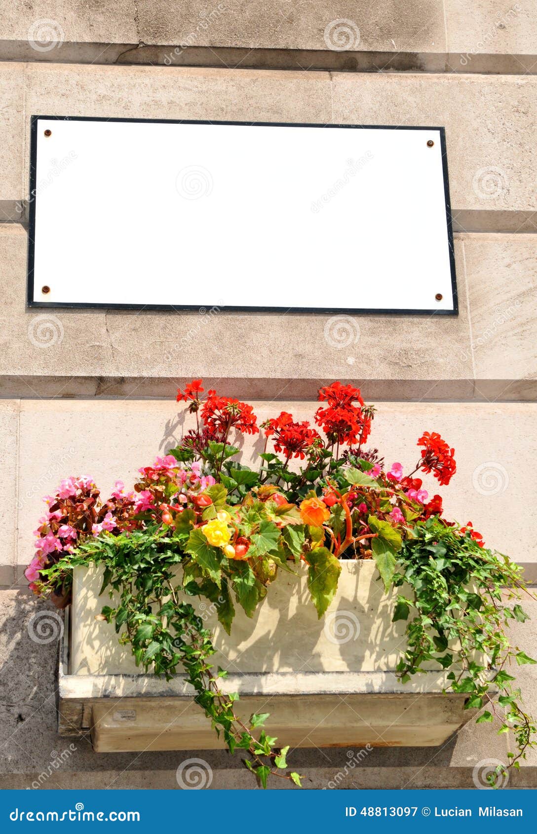 Street sign stock image. Image of text, signage, white - 48813097