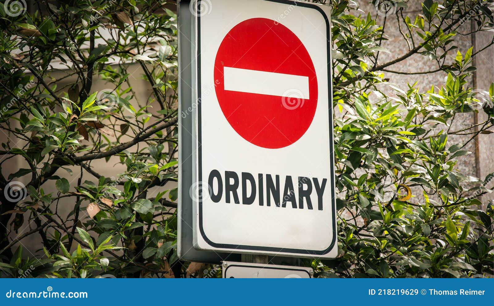 Street Sign Special Versus Ordinary Stock Image - Image of ordinary ...