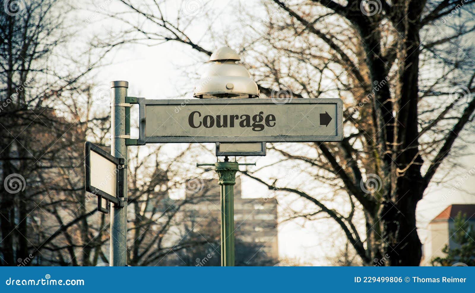 Cowardice And Bravery As Different Choices In Life - Pictured As Words ...