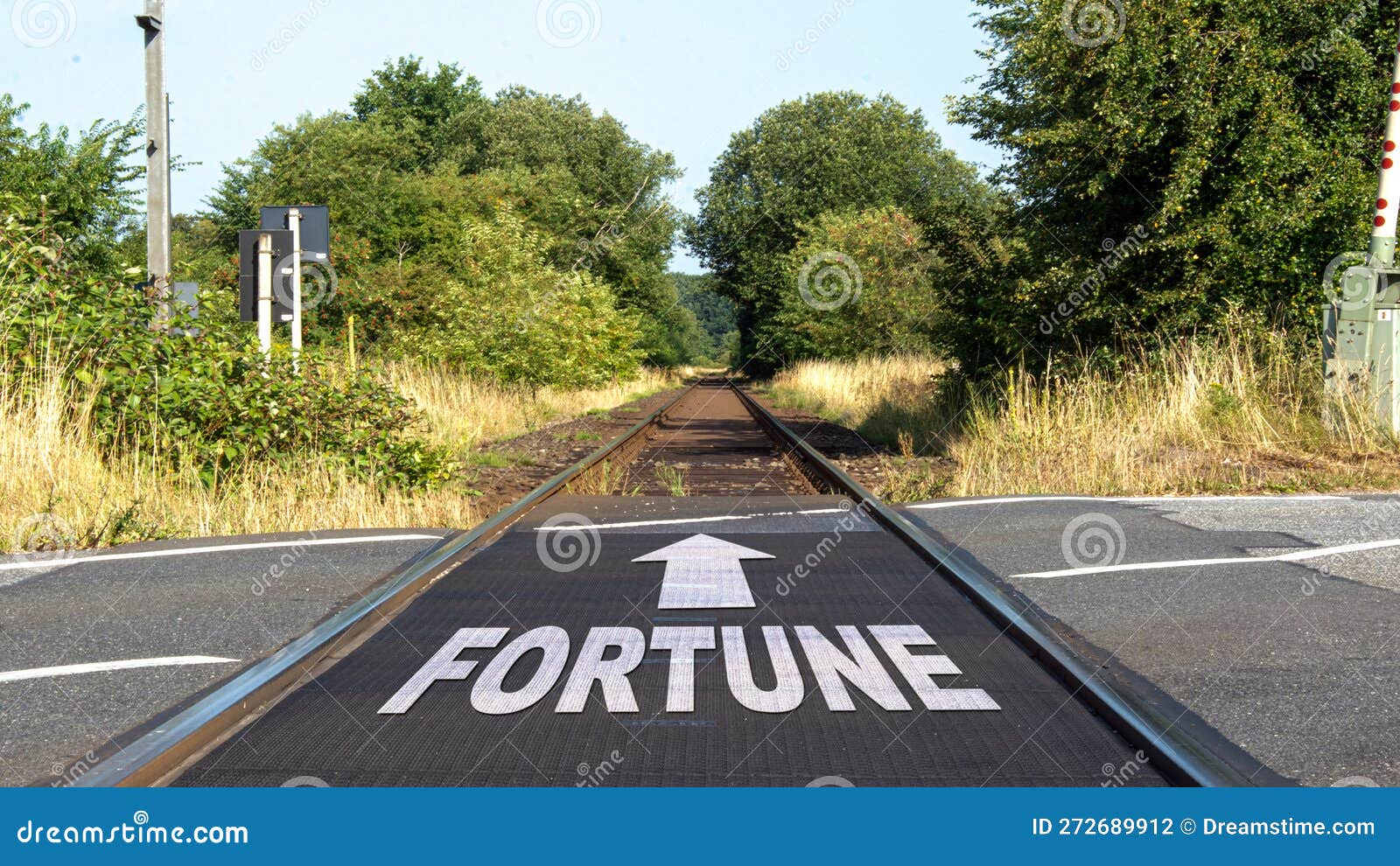 Street Sign to Fortune stock photo. Image of health - 272689912