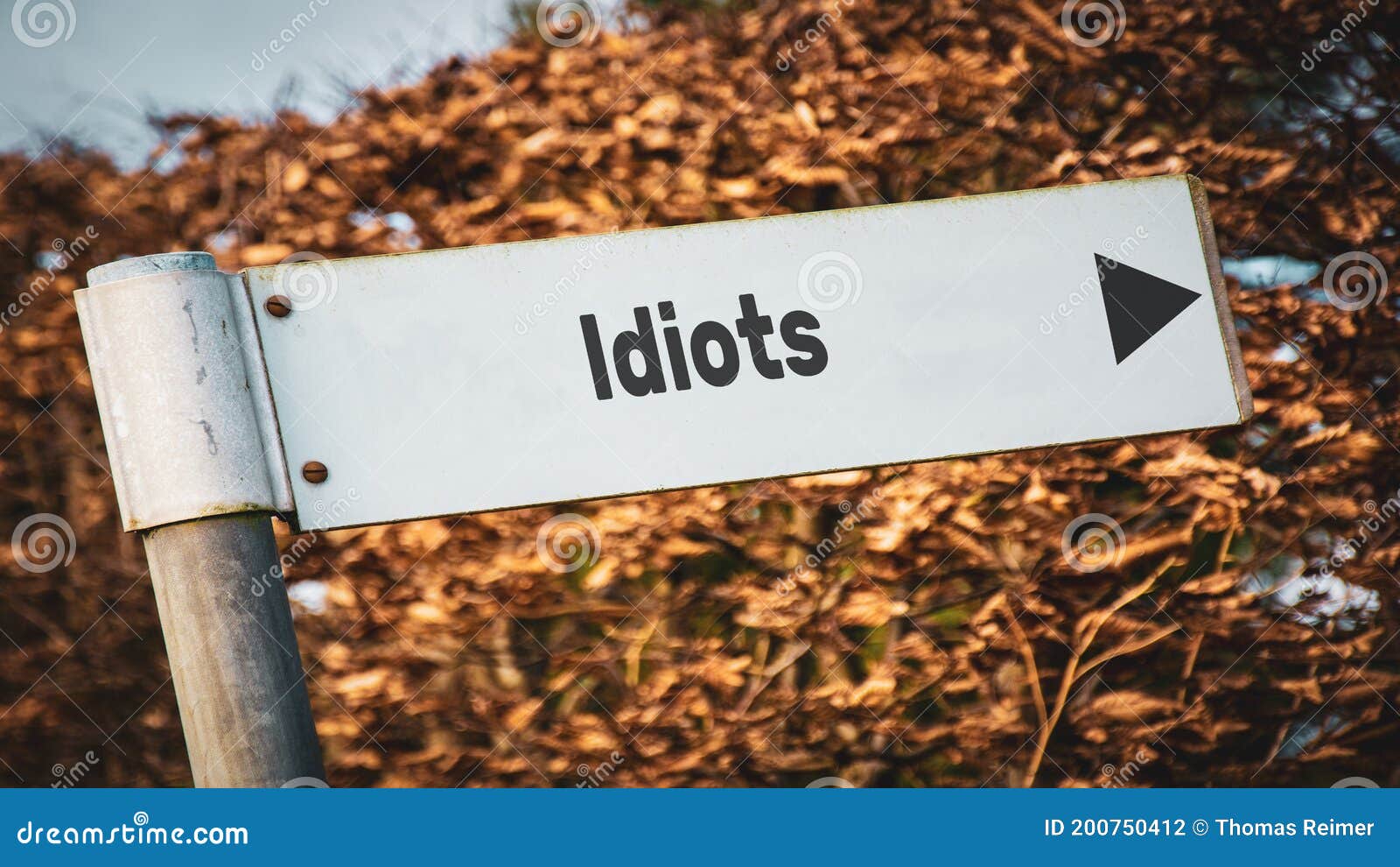 Street Sign to Idiots stock photo. Image of idiot, shield - 200750412