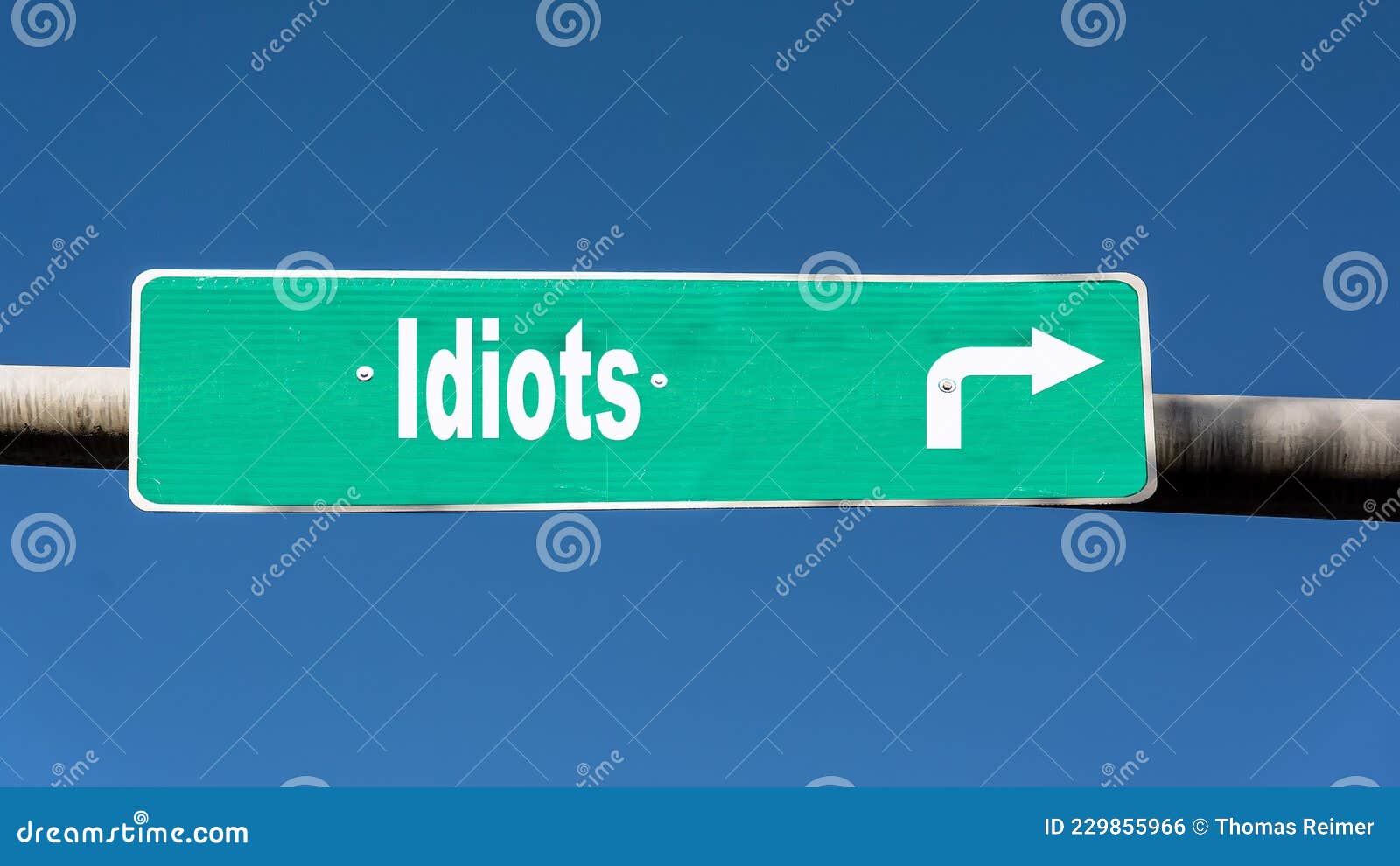 Street Sign to Idiots stock photo. Image of stupid, insult - 229855966
