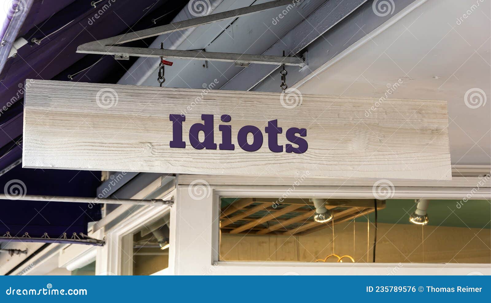 Street Sign to Idiots stock photo. Image of insult, sign - 235789576