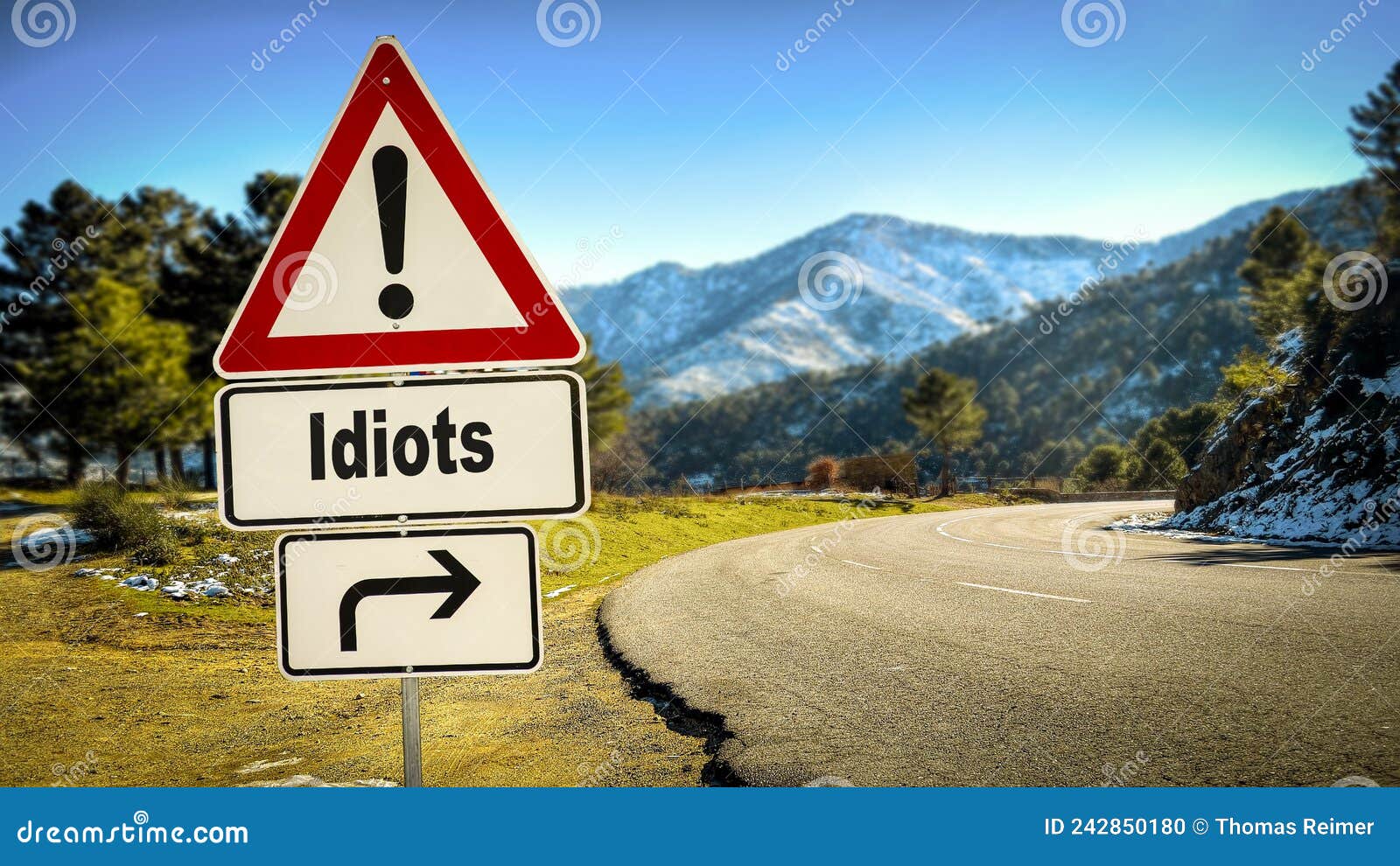 Street Sign to Idiots stock photo. Image of idiots, racism - 242850180