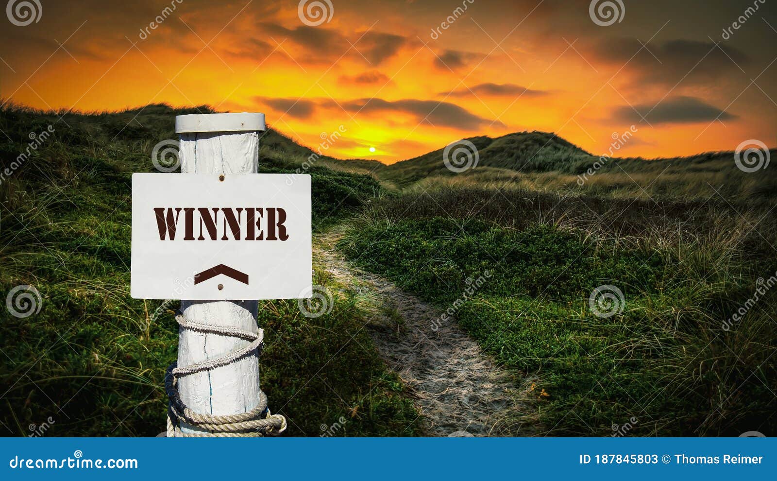 Street Sign to Winner stock image. Image of direction - 187845803