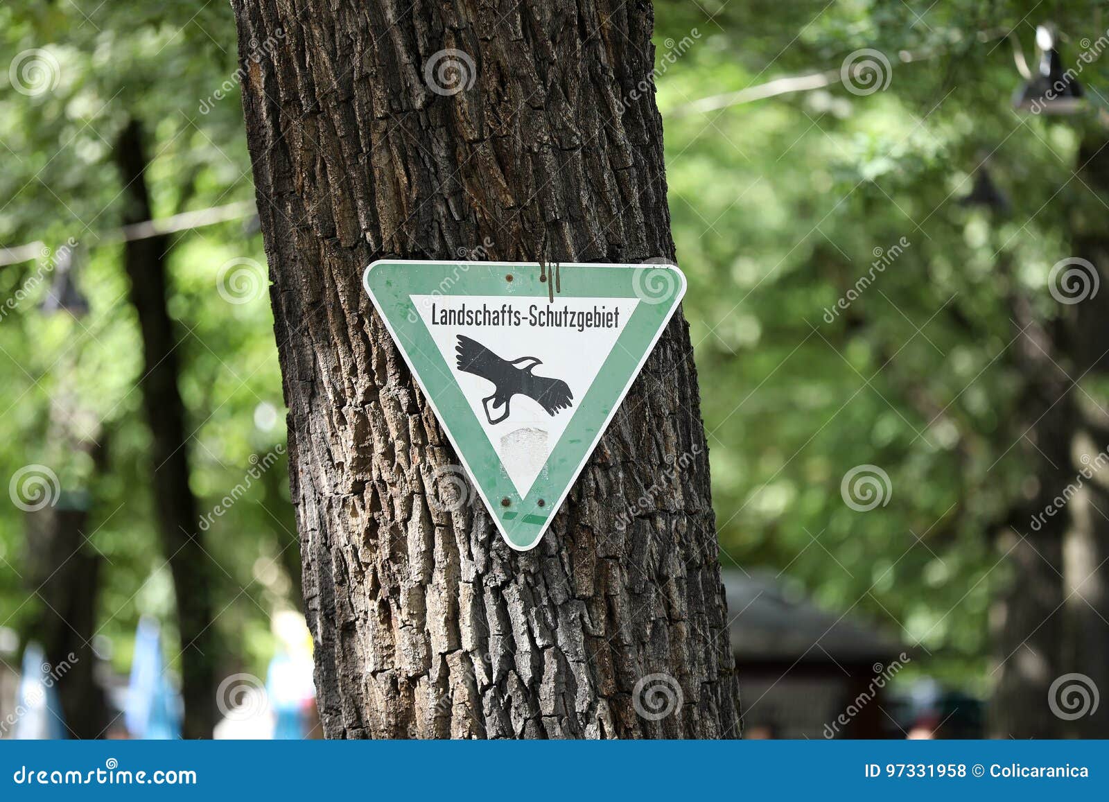 Street sign on a tree stock photo. Image of signs, woods - 97331958
