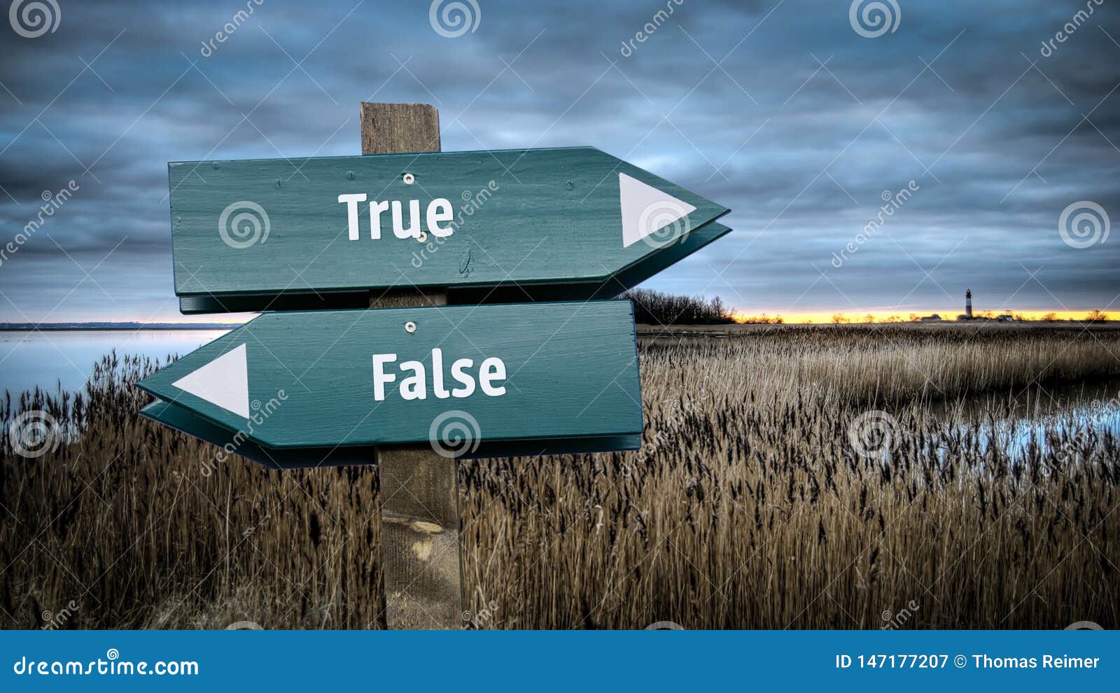 Street Sign True Versus False Stock Illustration - Illustration of ...