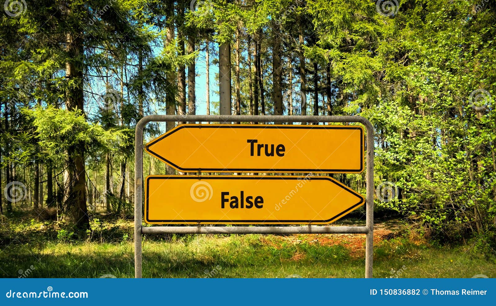 Street Sign True Versus False Stock Photo - Image of analysis, true ...
