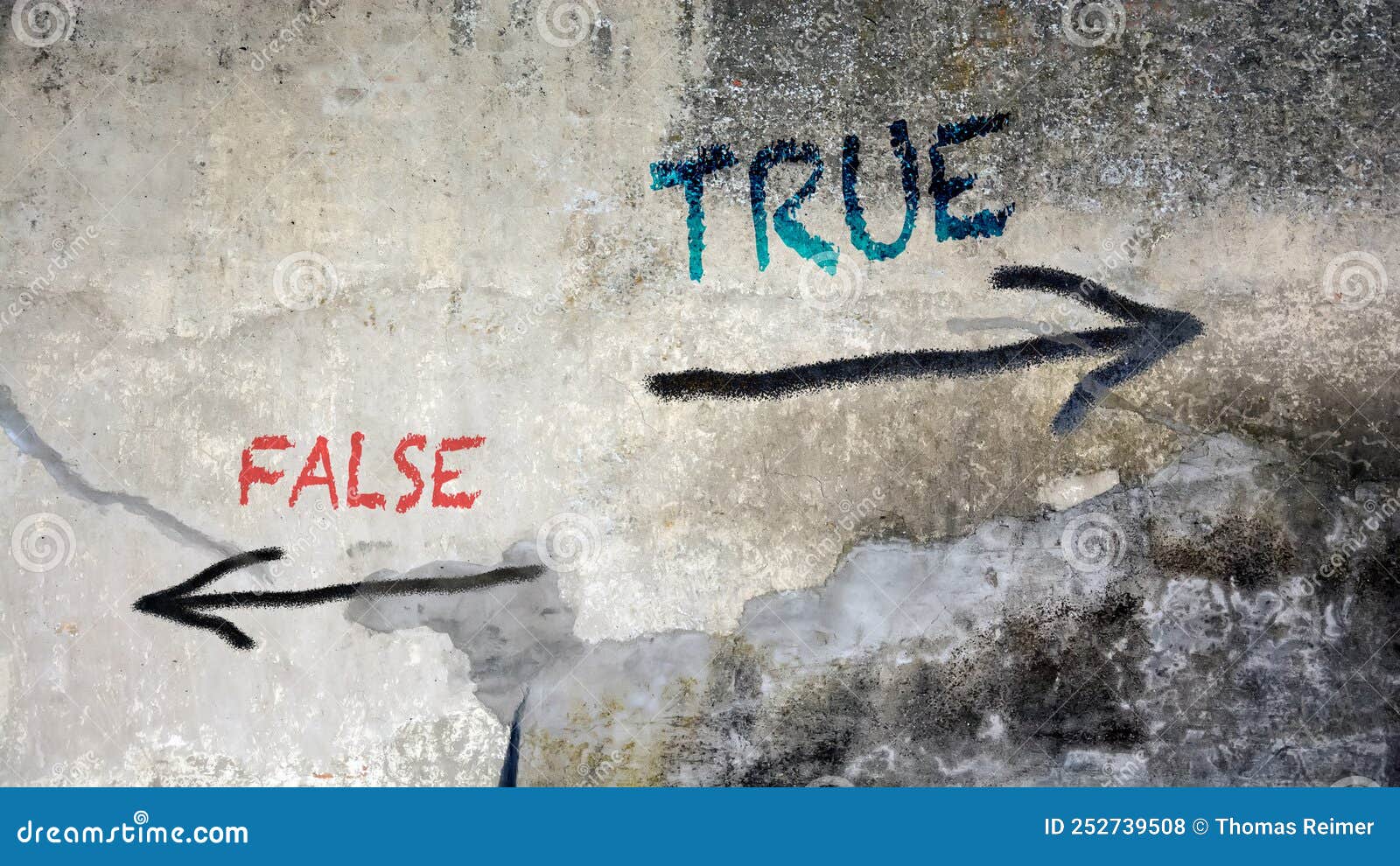 Street Sign True Versus False Stock Photo - Image of rejection, success ...