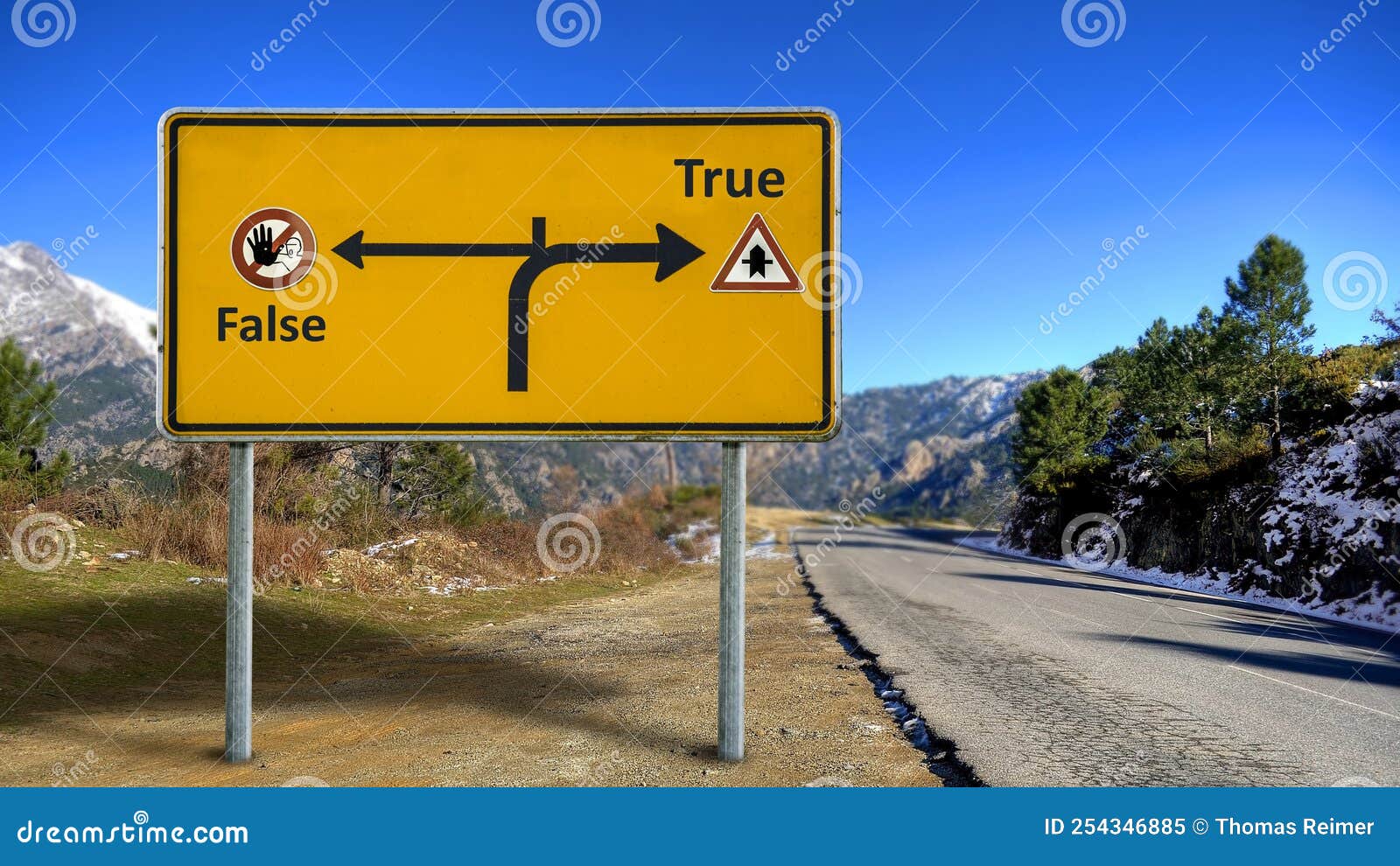 Street Sign True Versus False Stock Image - Image of shield, decision ...