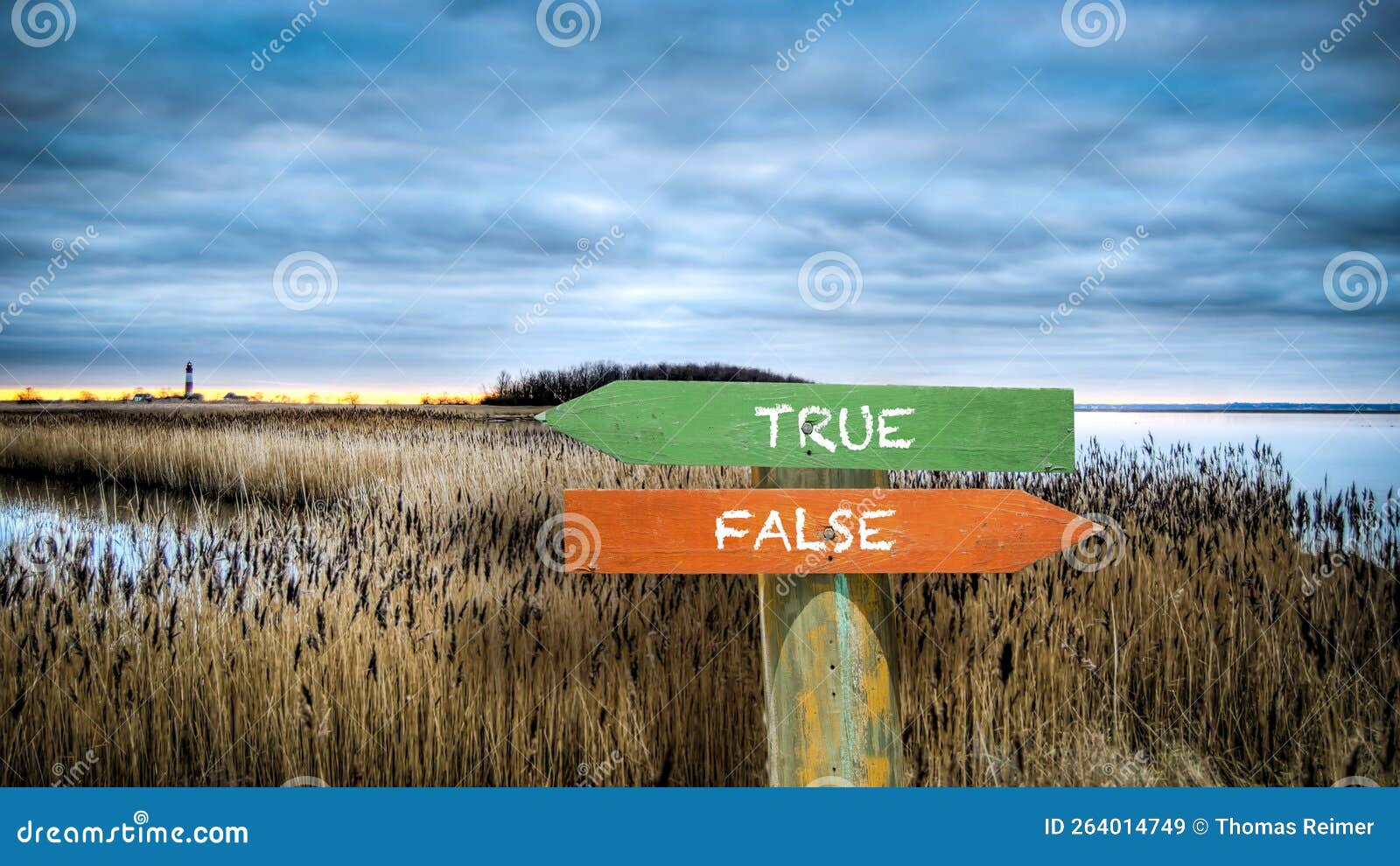 Street Sign True Versus False Stock Image - Image of contra, direction ...
