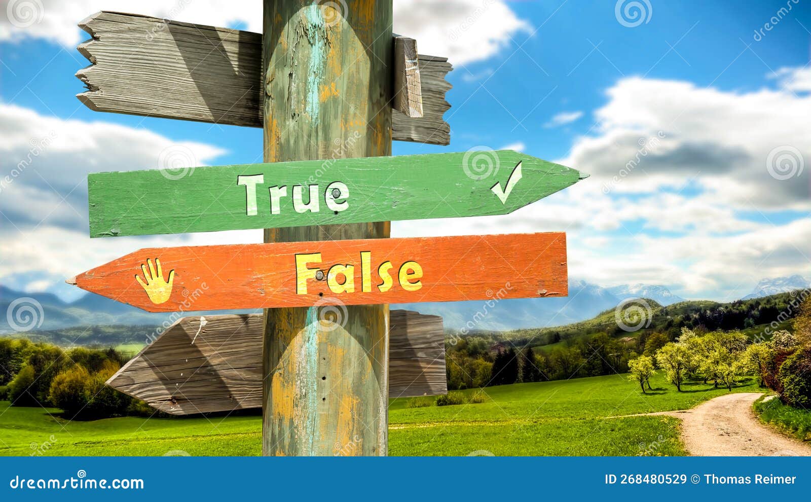Street Sign True Versus False Stock Illustration - Illustration of sign ...