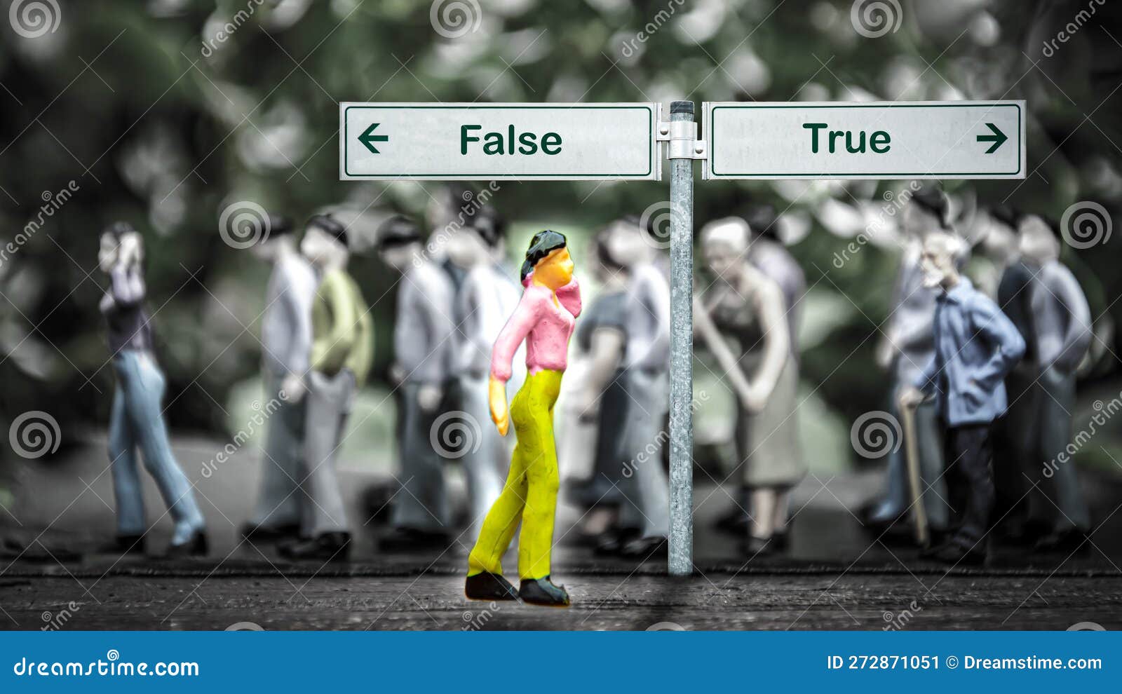 Street Sign True Versus False Stock Image - Image of signpost, success ...