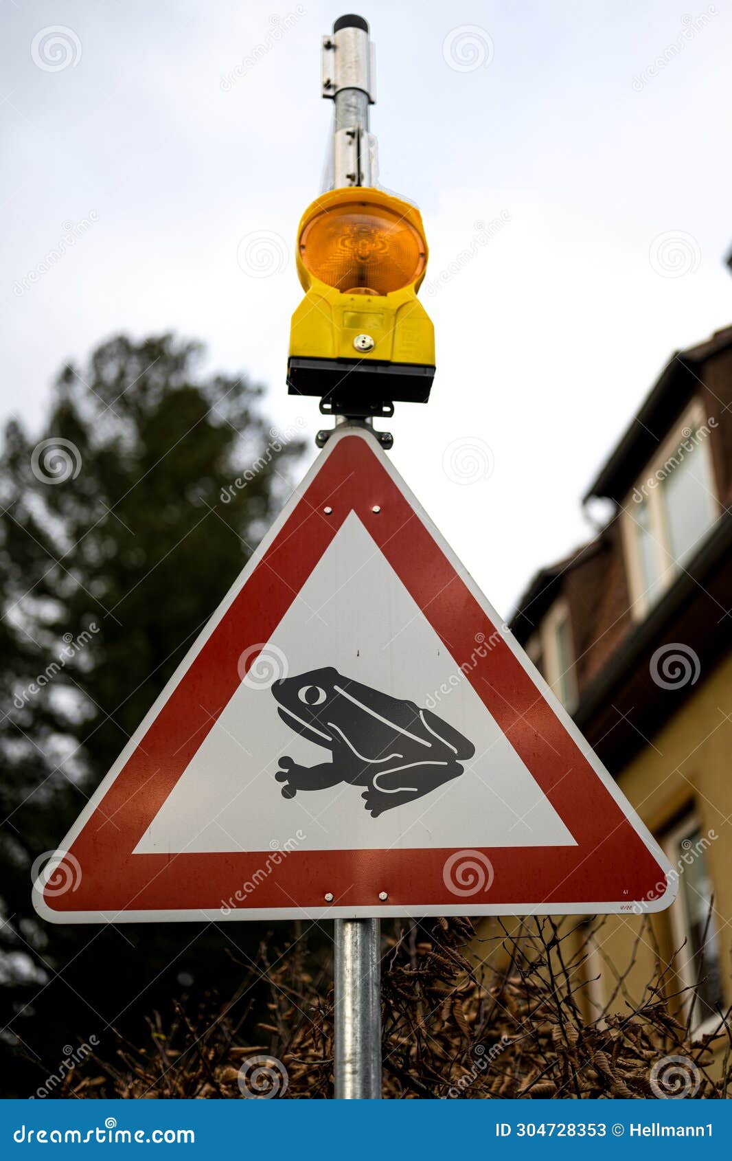 Street Sign Warning for Toad Crossing Stock Image - Image of wood ...