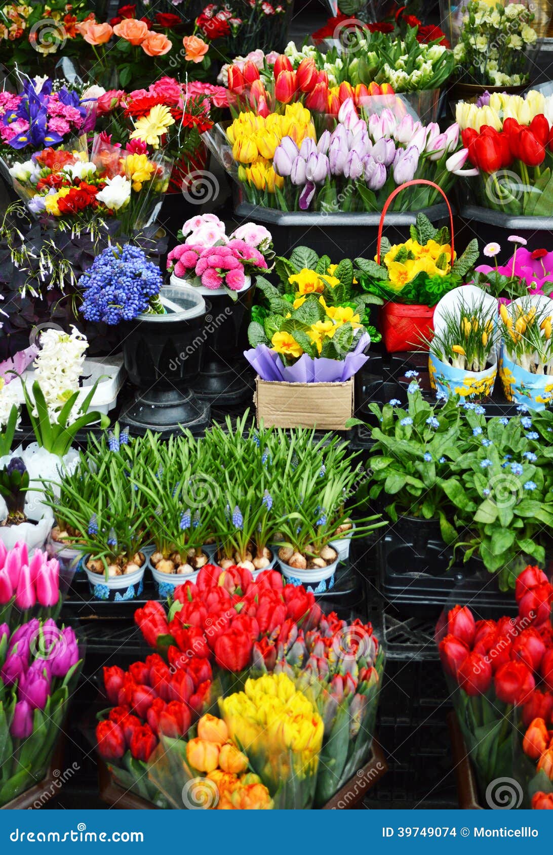 Street Stall with Variety of Flowers Stock Photo - Image of assorted ...