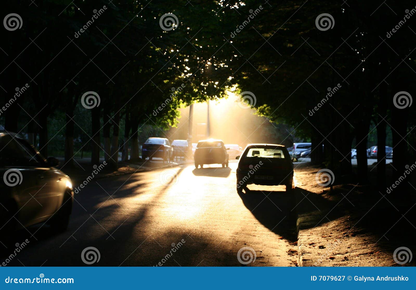 Street on sunset stock image. Image of park, light, nature - 7079627