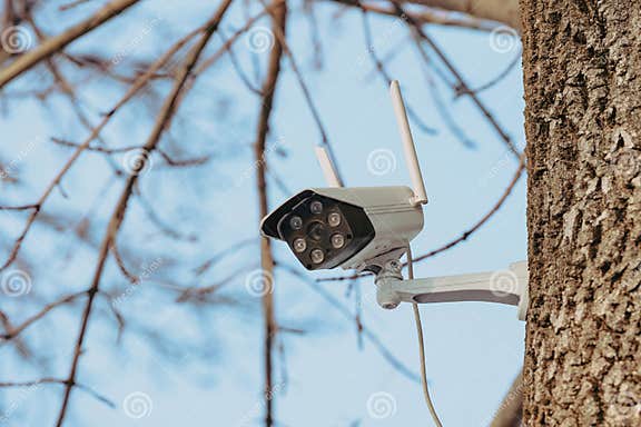 Street Surveillance Camera Installed on a Tree Stock Photo - Image of ...