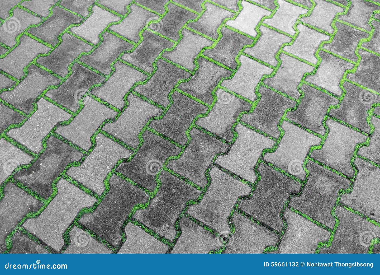 Street tiles with moss stock photo. Image of path, brick - 59661132