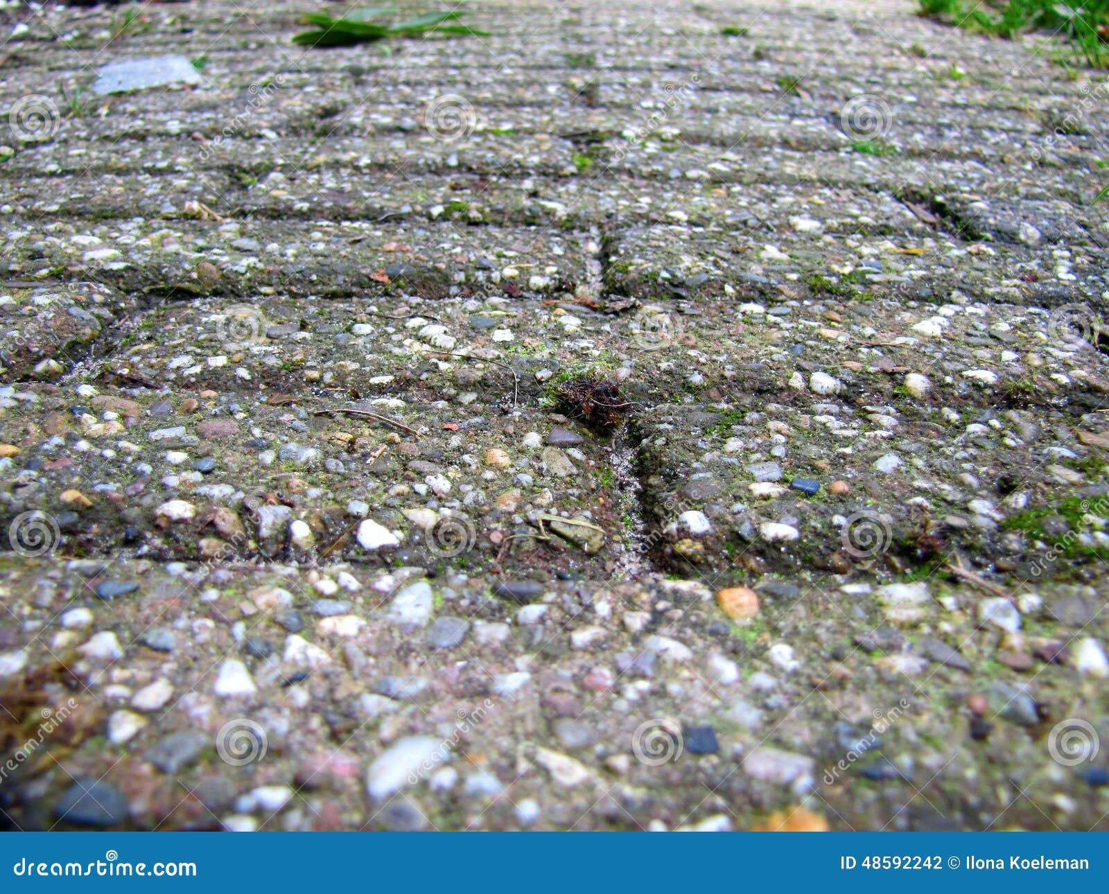 Street Tiles with Pebbles Close Up Stock Photo - Image of granite ...
