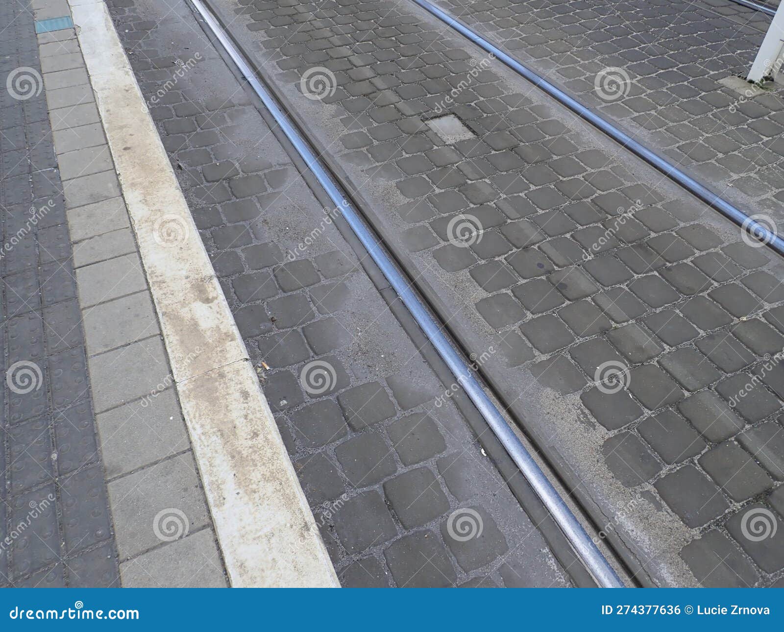 Street Tram Line Rails with Grey Pavement Stock Photo - Image of tram ...