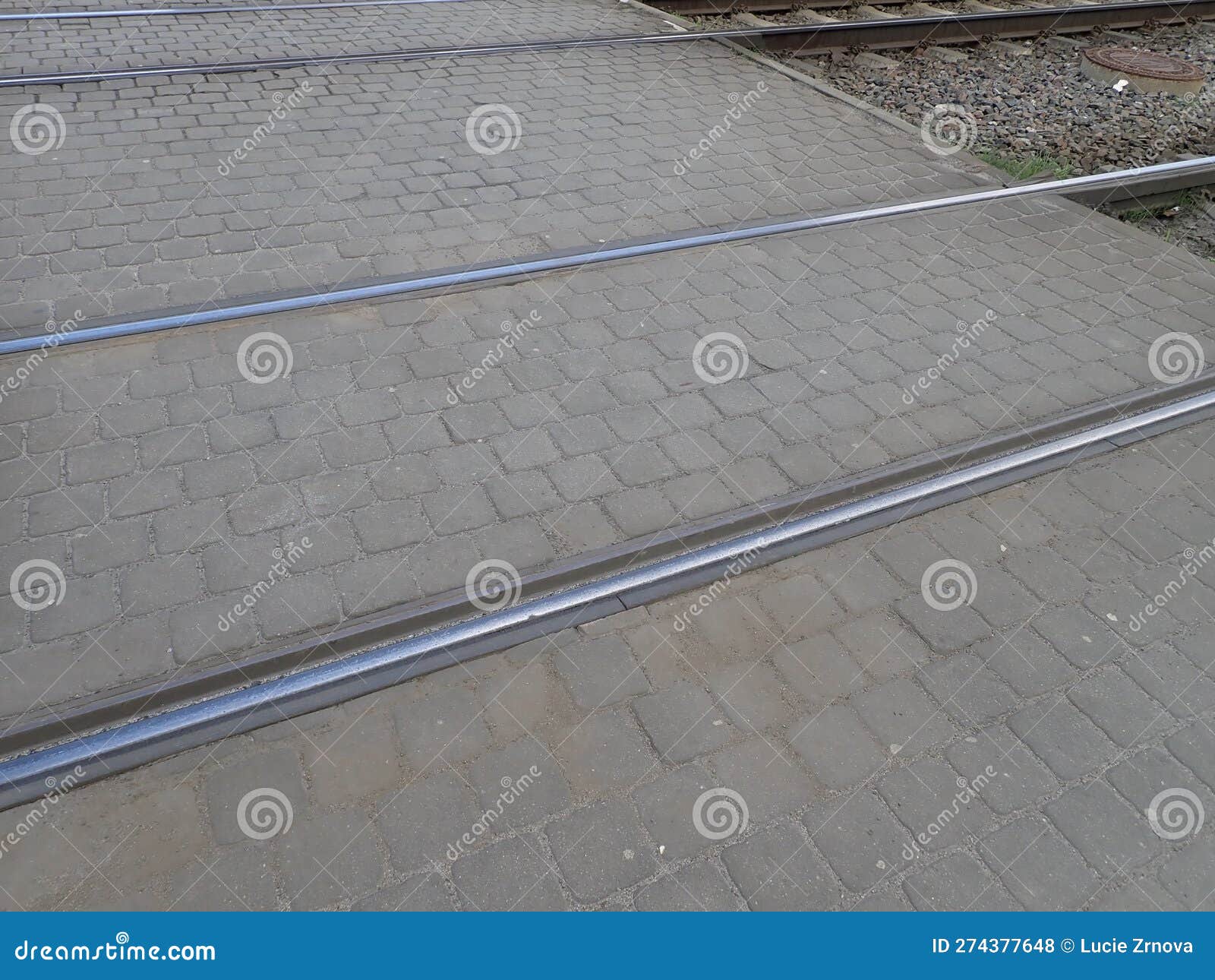 Street Tram Line Rails with Grey Pavement Stock Photo - Image of paving ...