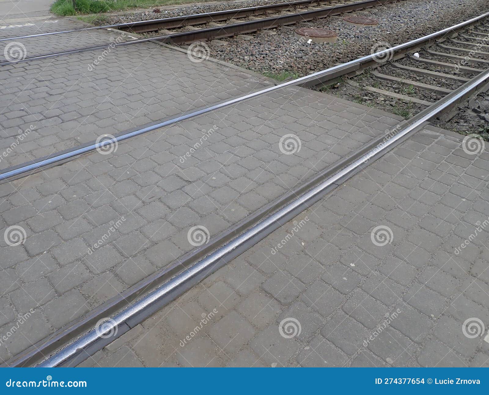 Street Tram Line Rails with Grey Pavement Stock Photo - Image of track ...