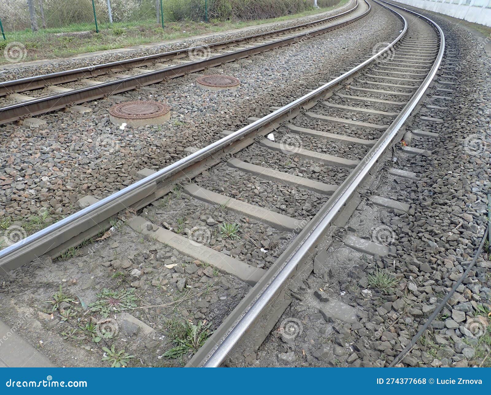 Street Tram Line Rails with Grey Pavement Stock Photo - Image of ...