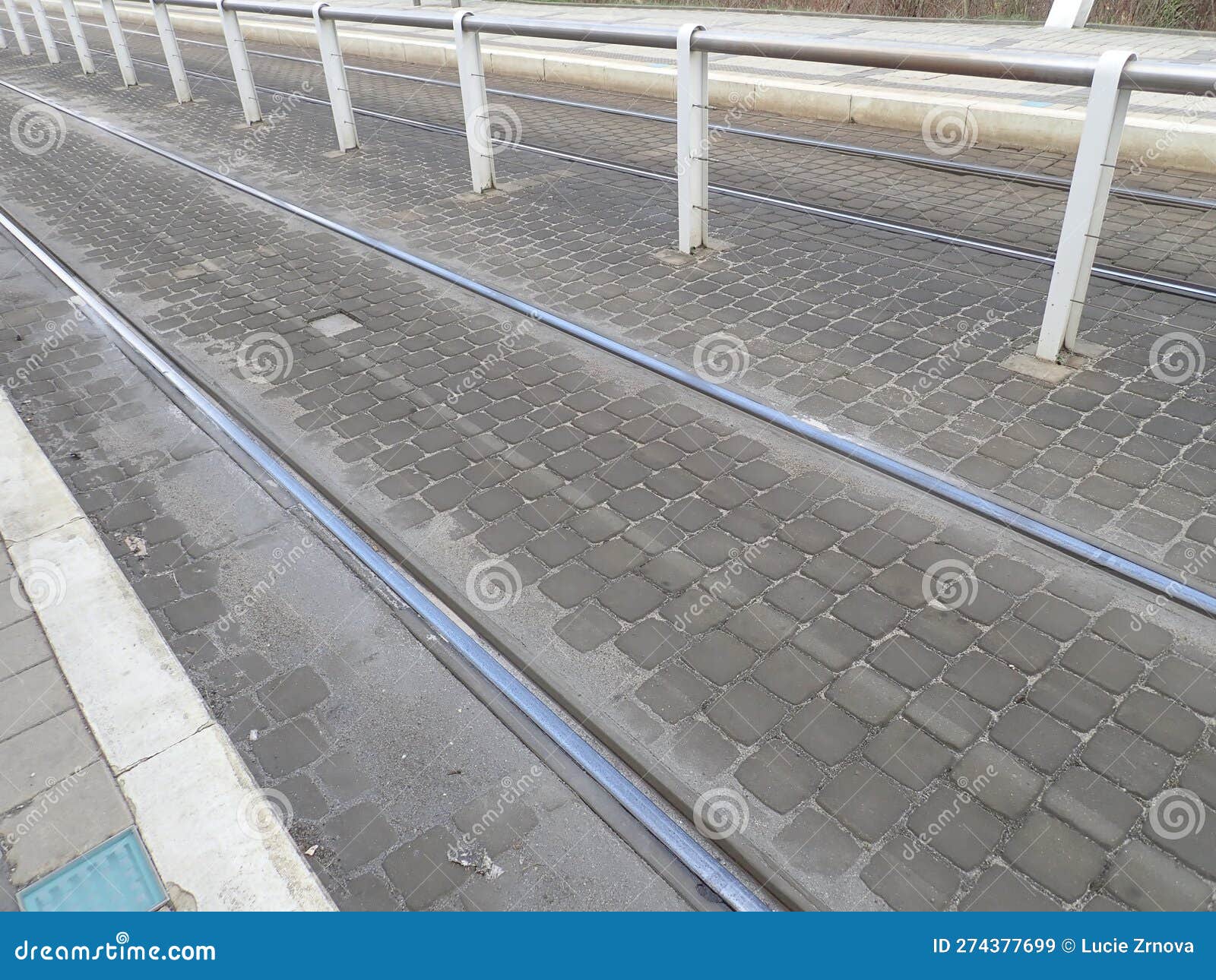 Street Tram Line Rails with Grey Pavement Stock Image - Image of ...