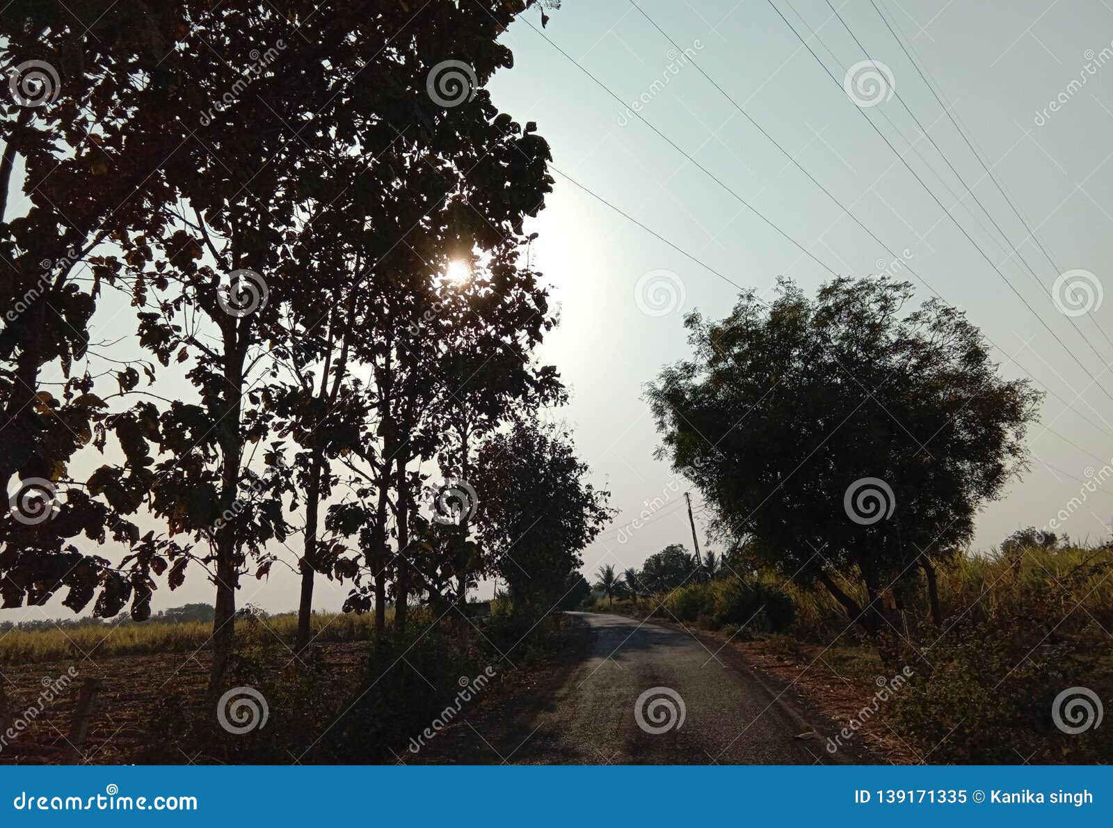 Street and tree stock image. Image of side, street, road - 139171335