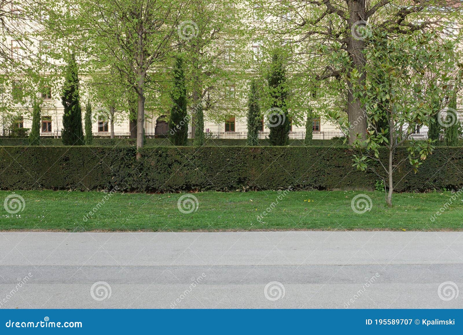 Street with Trees and Hedge Stock Image - Image of asphalt, trees ...